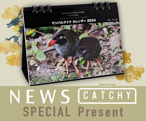 ニュース CATHY「カレンダー」プレゼント | QAB 琉球朝日放送