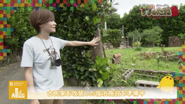 17のたね | QAB 琉球朝日放送